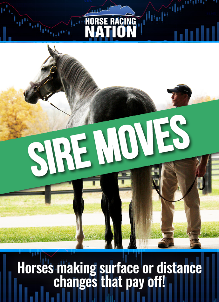 Horse Racing Nation Picks - Horse Racing Nation Picks