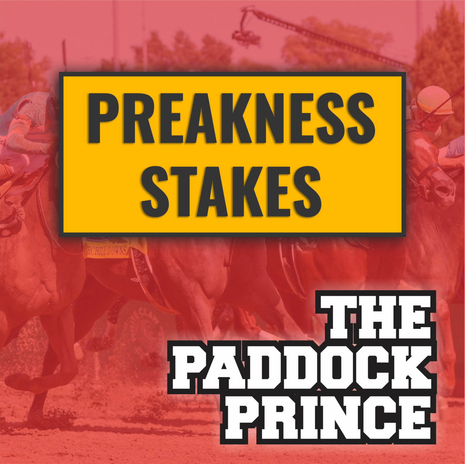 Horse Racing Nation Picks - Horse Racing Nation Picks